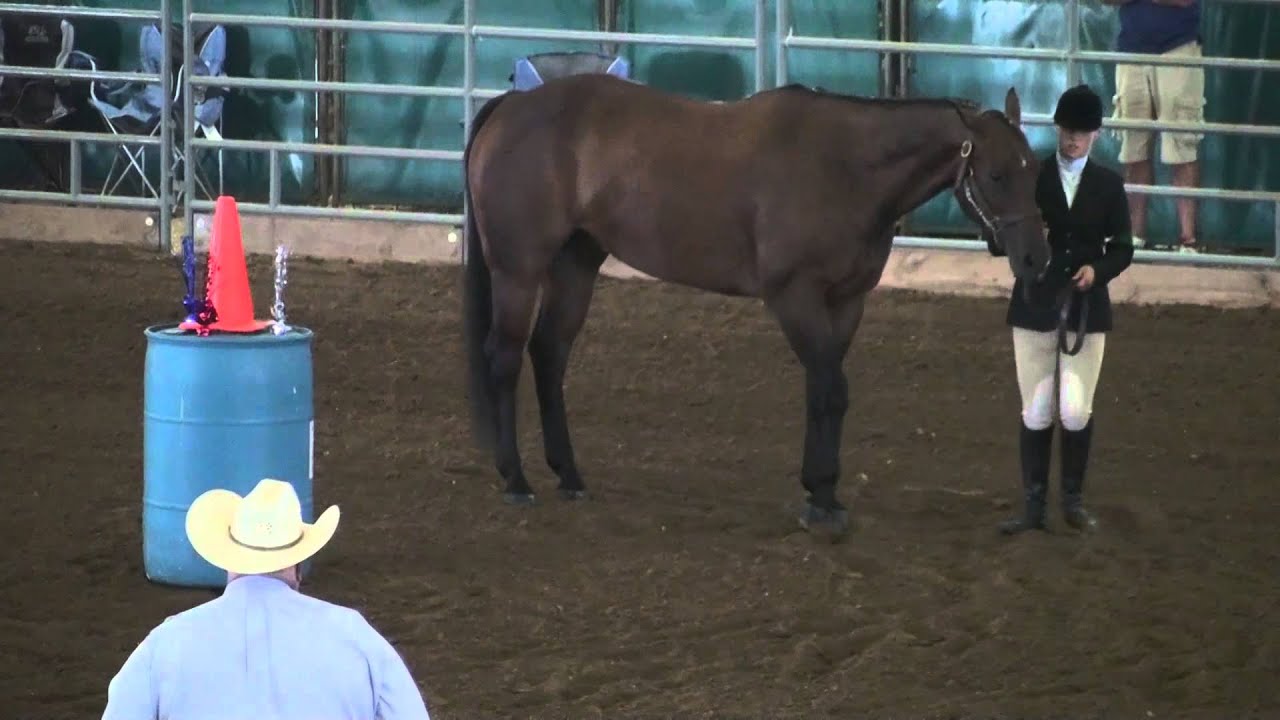 4-H Horse Extreme Versatility Class - YouTube