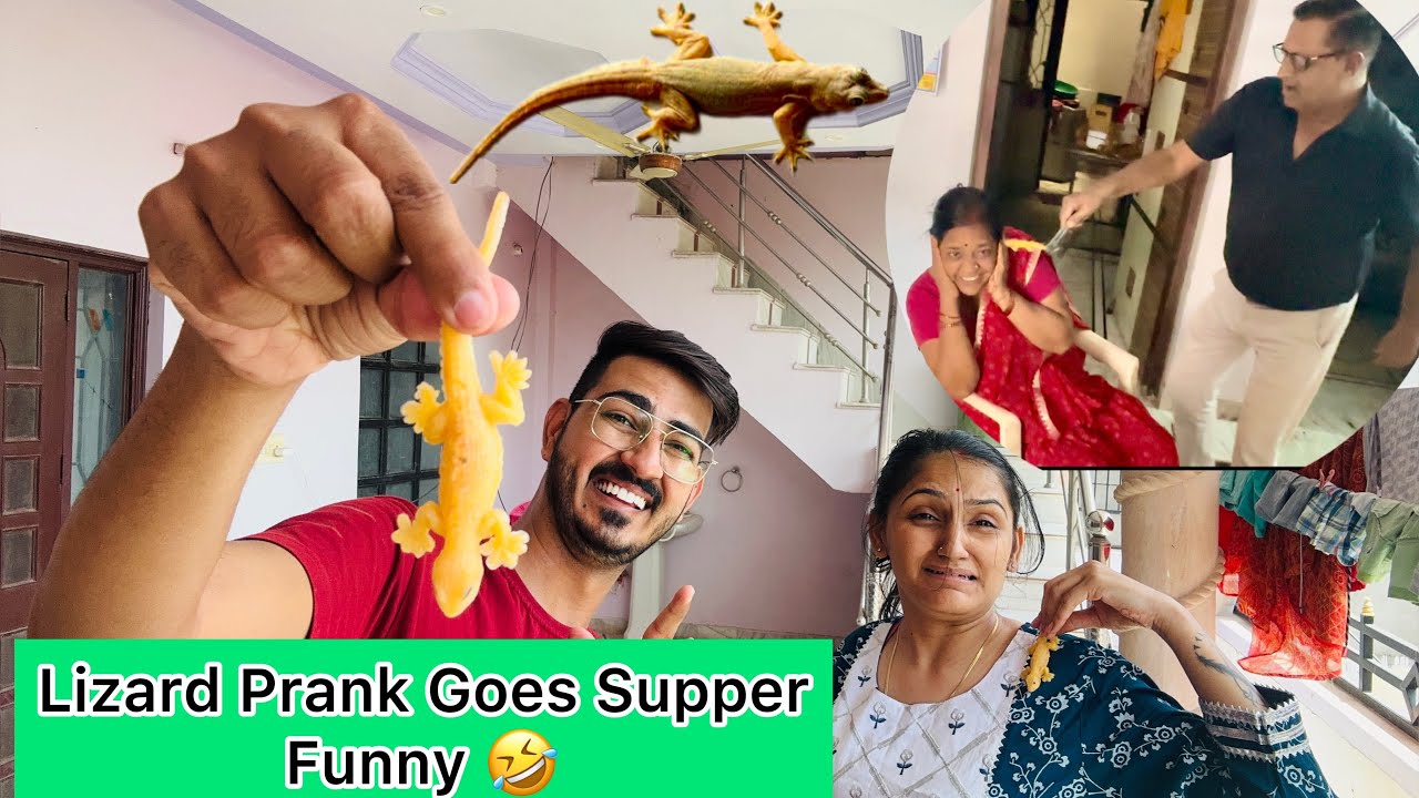 Lizard 🦎 Prank On Wife | Prank Gone Wrong | Prank On Wife | Ashwani ...