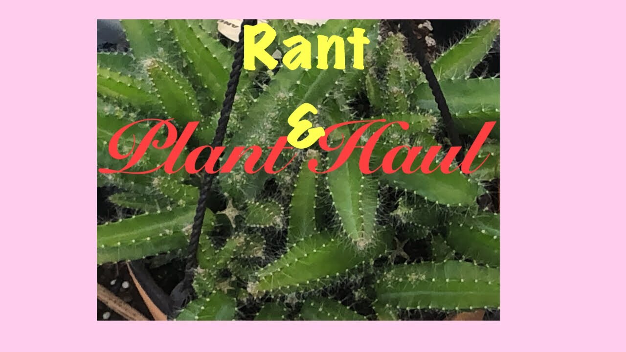Rant and Plant Haul - YouTube