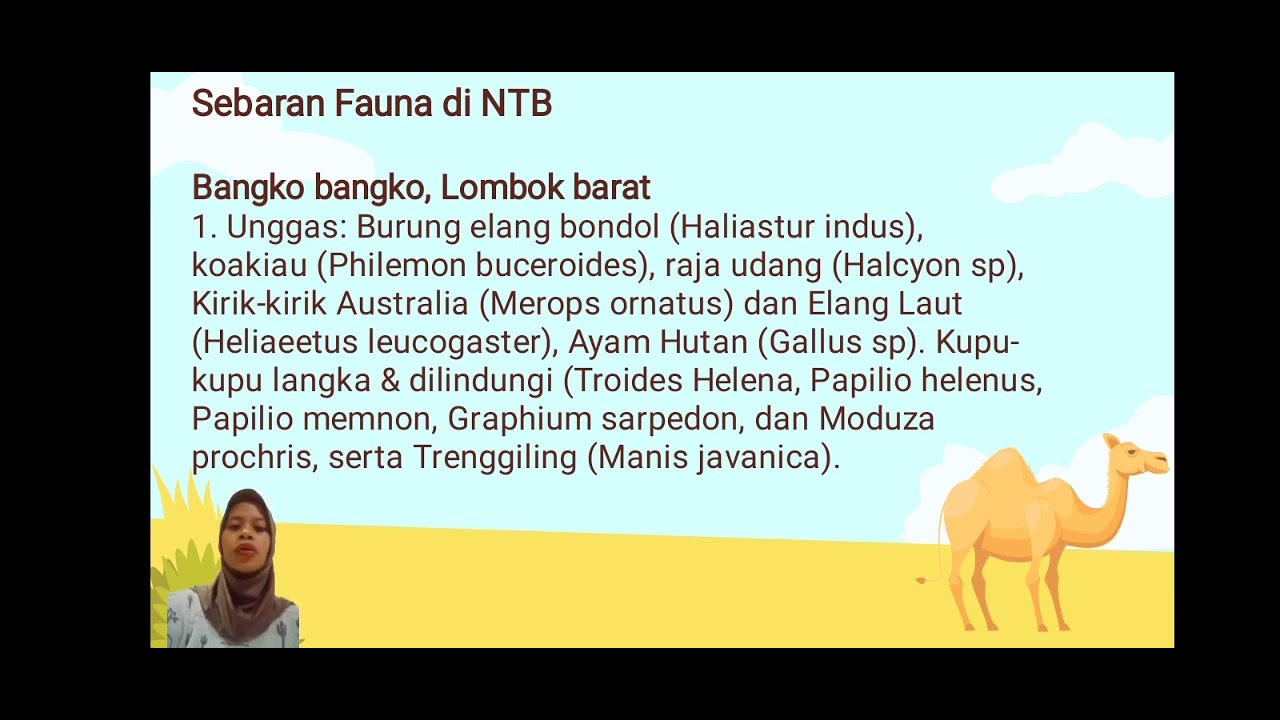 keanekaragaman Fauna dan persebaran di NTB - YouTube