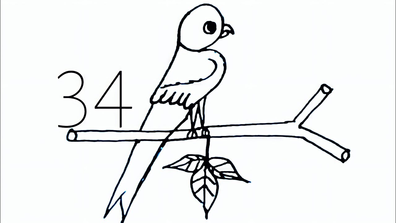How To Draw Beautiful Parrot Bird Drawing With 34 Number || Number ...