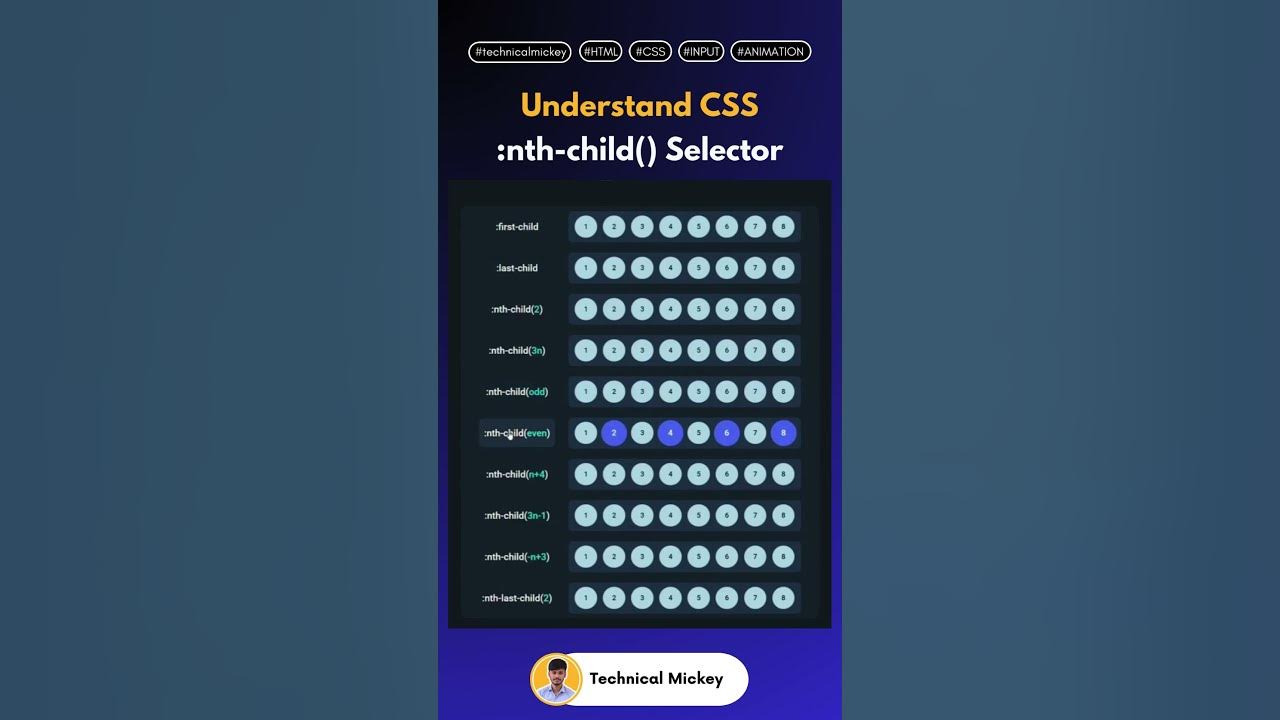 :nth-child() Selector Visualization | CSS 👇🏻 - YouTube