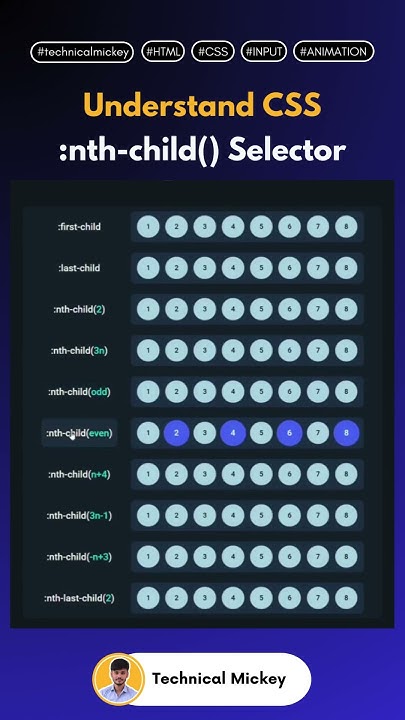 :nth-child() Selector Visualization | CSS 👇🏻 - YouTube