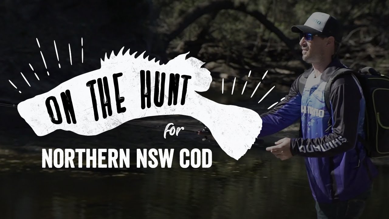 On the hunt for Northern NSW Murray Cod! - YouTube