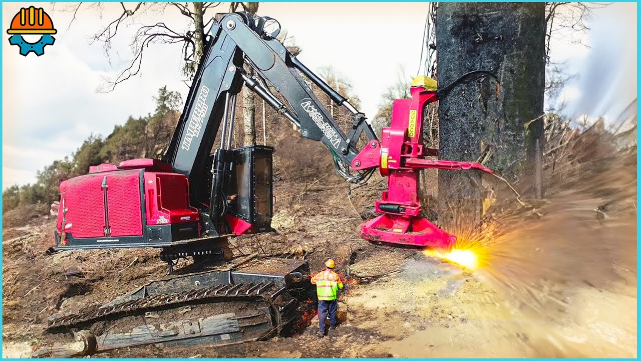 Top 10 Most Powerful Tree Felling Machines You Have Never Seen - YouTube