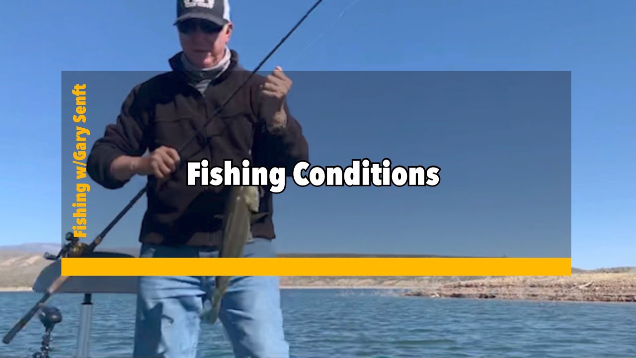 Fishing Conditions - YouTube