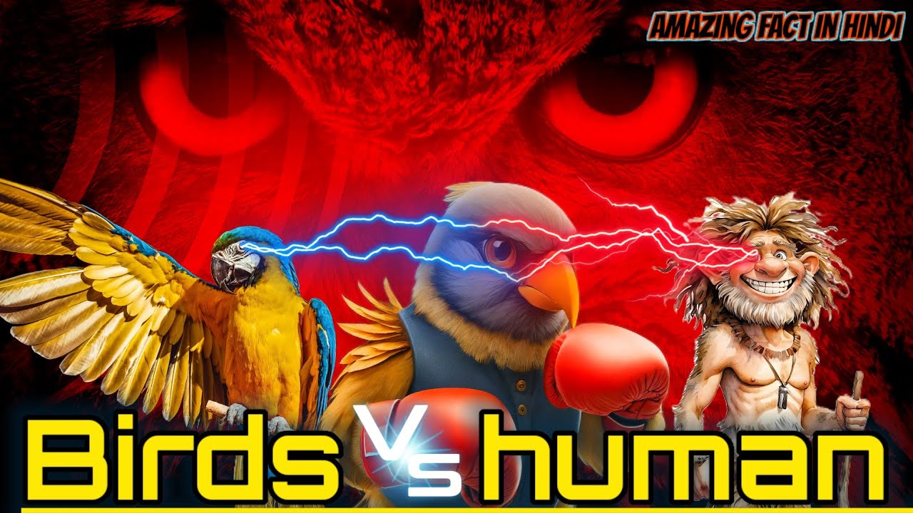 एक दुश्मनी। bird vs human #fact #itsgood - YouTube