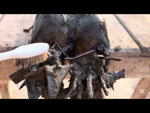 Shocking Cow Hoof Cleaning! Worms, Maggots, Mud & Stones Removed Step ...