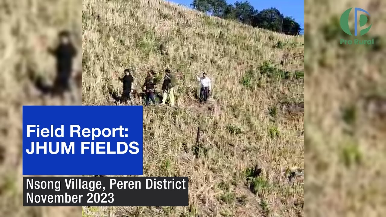Field Report: Jhum fields in Nsong village, Peren district, Nagaland ...