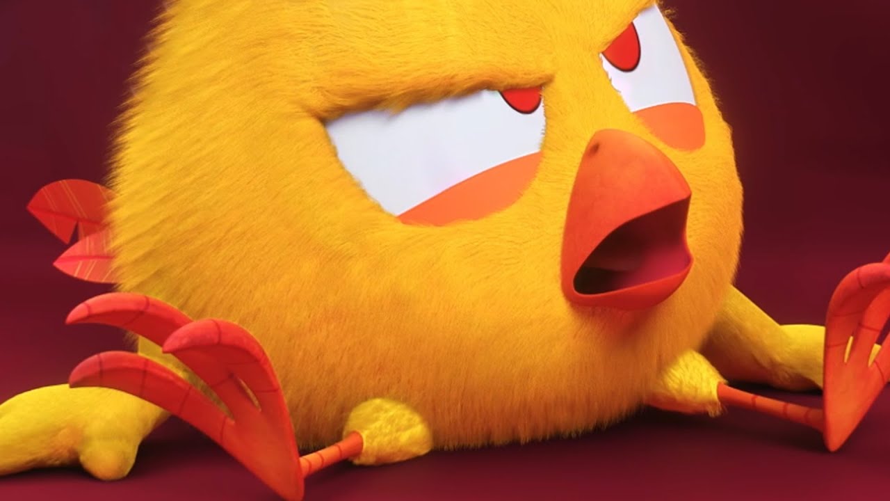 Onde está Chicky? 2021 | UM PINTINHO ENFURECIDO | Desenhos Animados ...