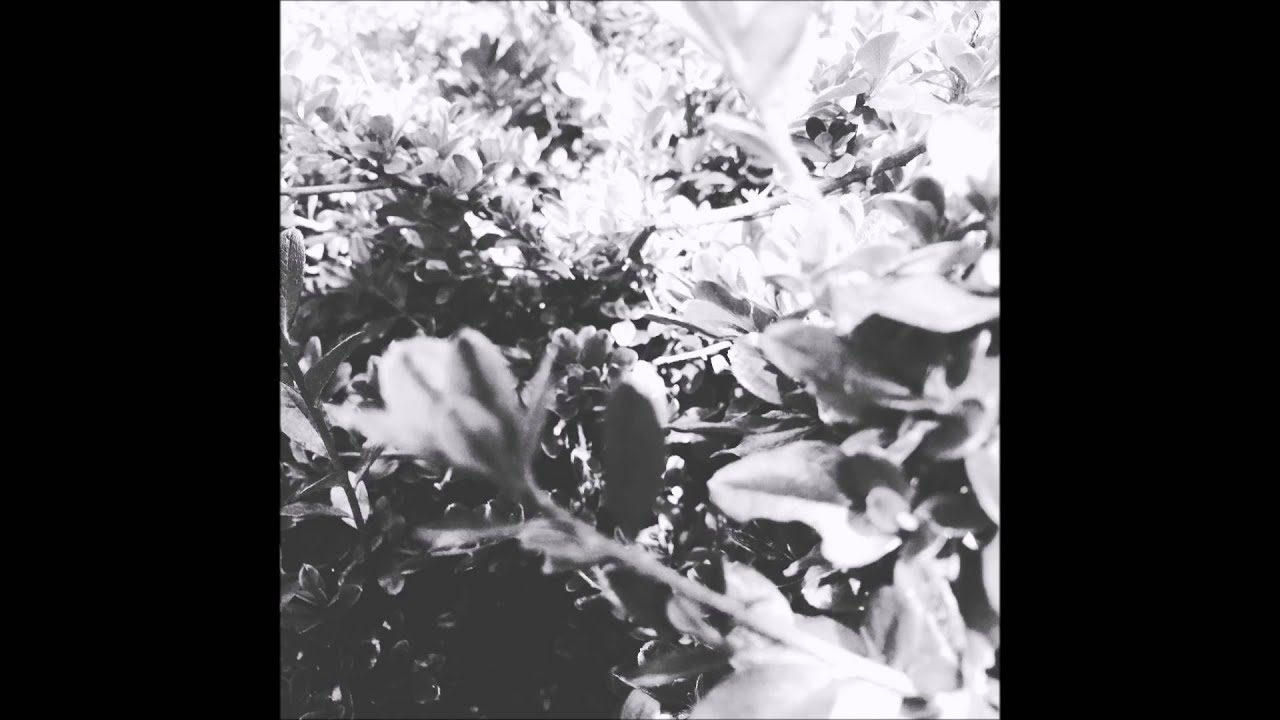 Deep Purple - Asap Rocky, Metro Boomin Type Beat (Prod. De Lamour ...