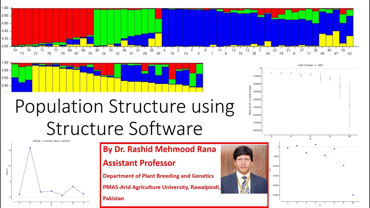 Population Structure Analysis using Structure Software | Easy Tutorial ...