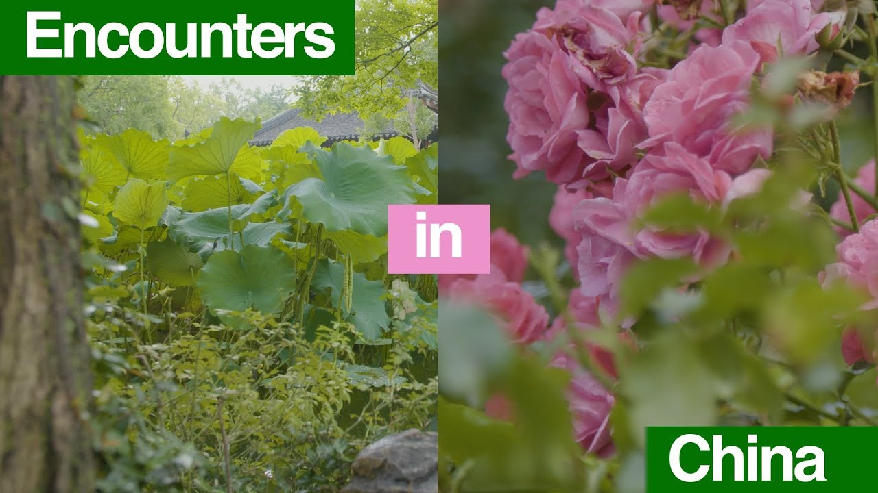 Chris & Xue - Encounters in China | A China Icons Video - YouTube