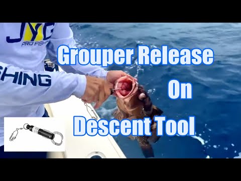 Florida Grouper Release, how to use Descent Tool - YouTube