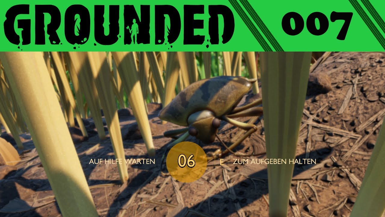Großer Stinkekäfer | Grounded #007 | [Multiplayer | LPT] - YouTube