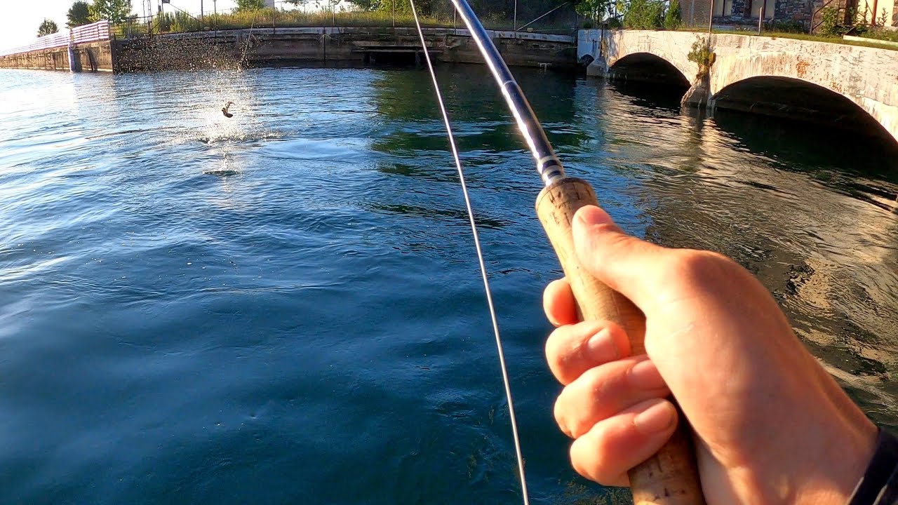 Northern Michigan Atlantic Salmon Fishing - YouTube