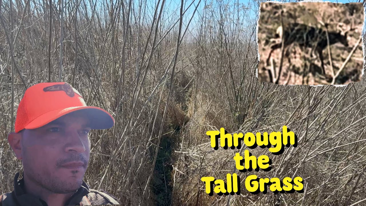 Camp Pendleton Mule Deer Hunt | Following the Game Trail - YouTube