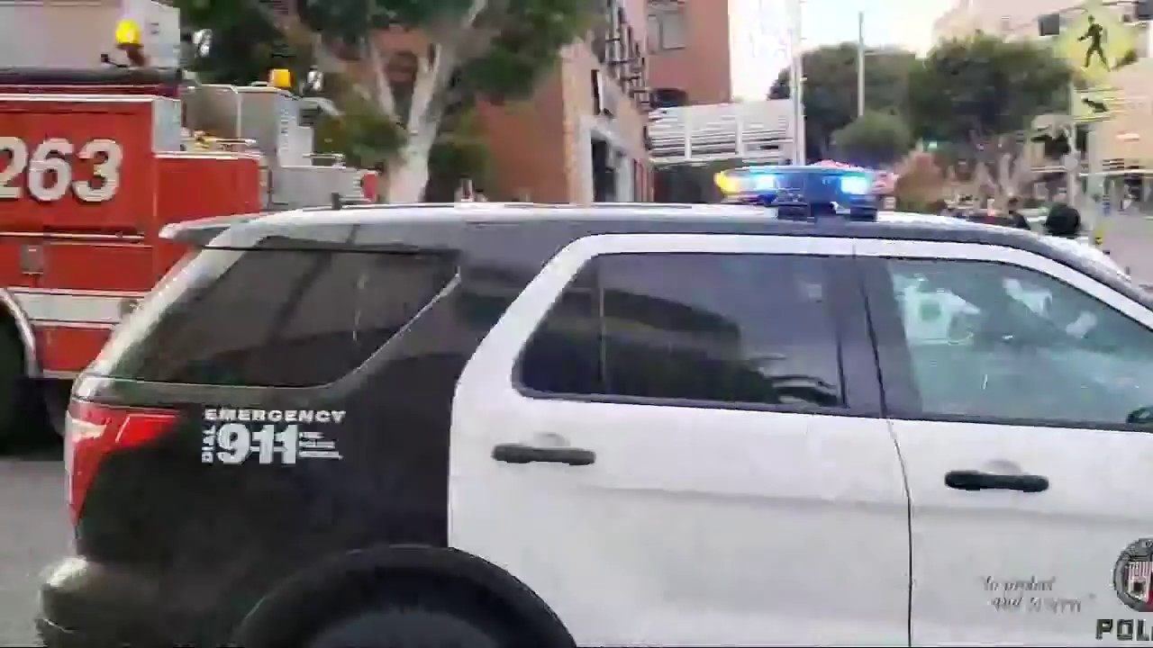 Lapd Pacific division Santa Monica police department on 51 50 - YouTube