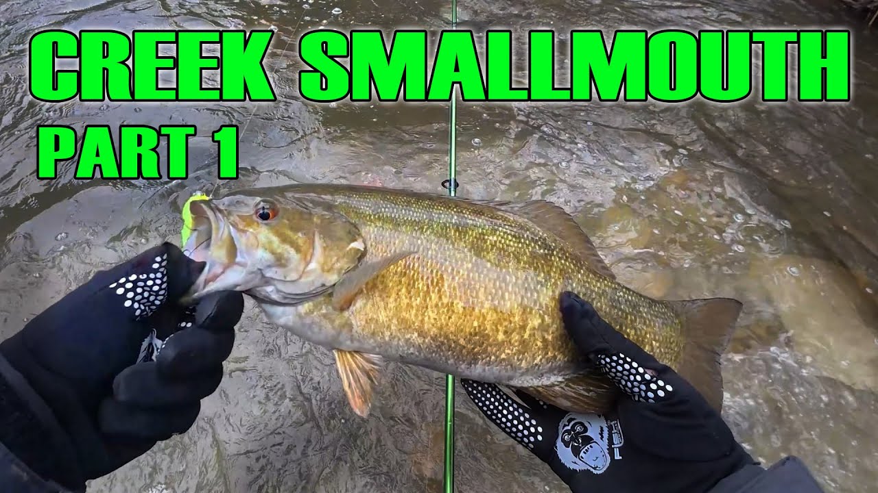 Spring Smallmouth Bass Creek Fishing - Part 1 of 2 - YouTube