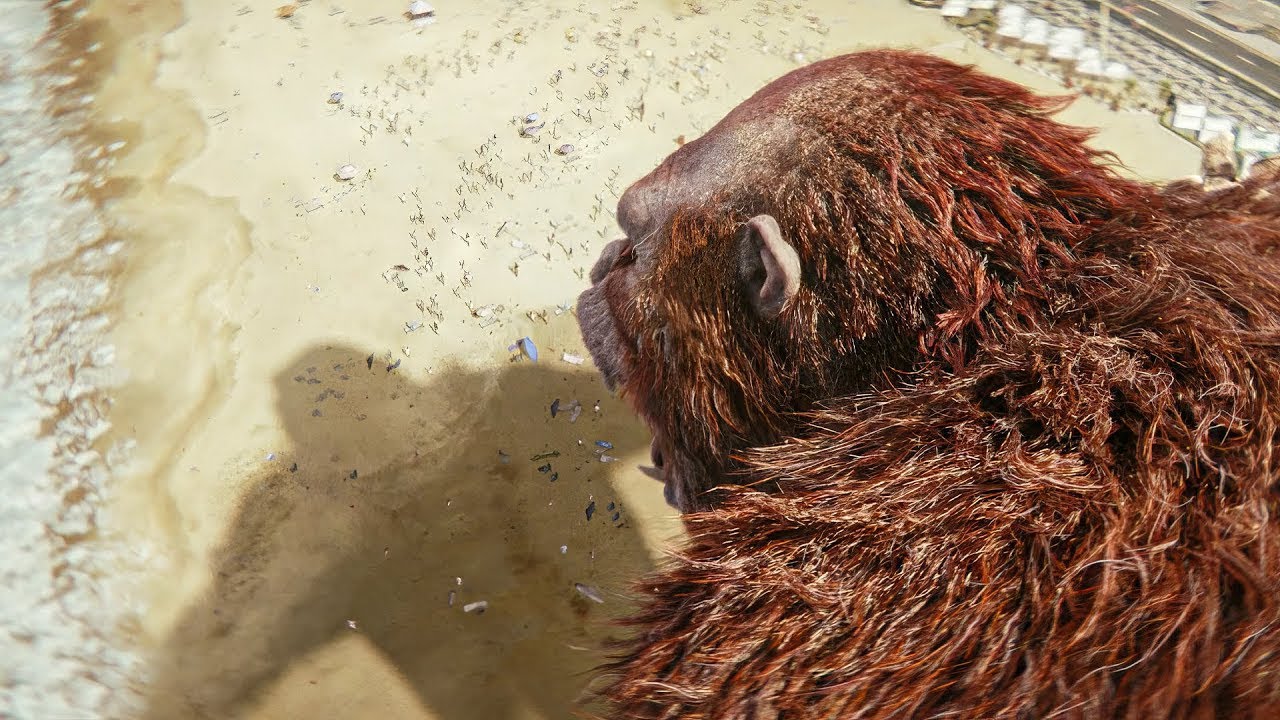 Giant Titans Trapped Underground Escape to The Earth's Surface to ...