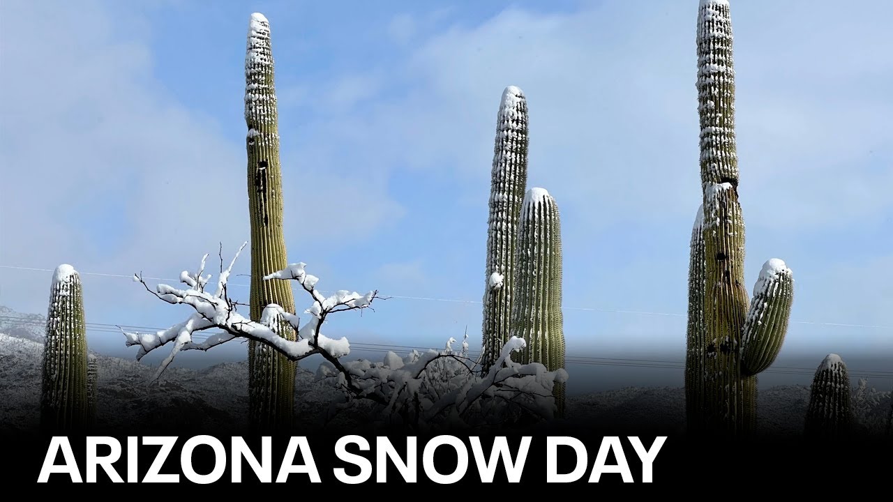 Snow day across Arizona - YouTube