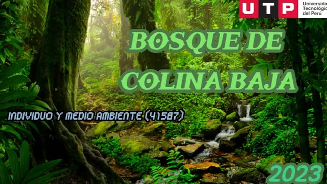 “Avance de Portafolio 1 AndreChumbeSanchez Bosque de colina baja - YouTube