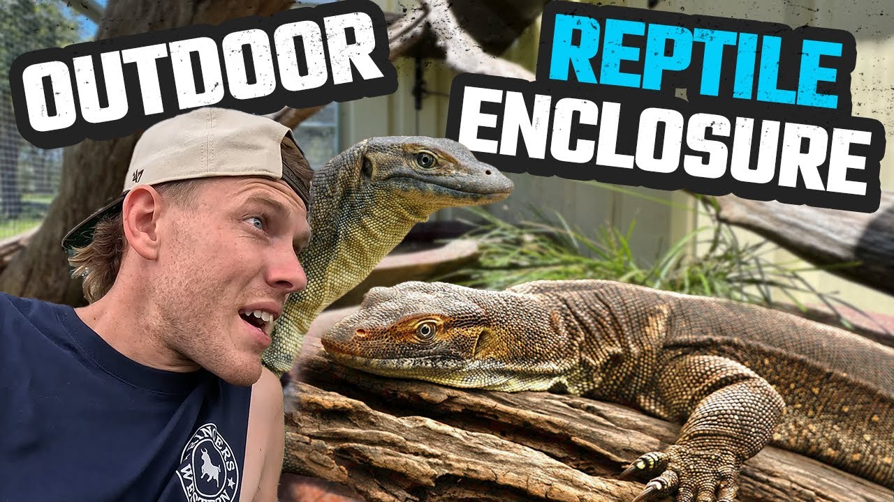 DIY OUTDOOR REPTILE ENCLOSURE FOR MY LIZARD | MERTENS WATER MONITOR ...