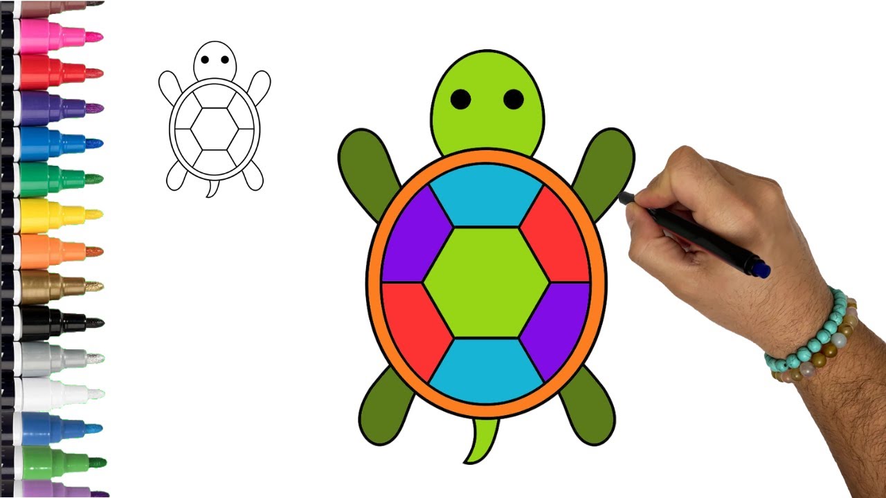 How To Draw and Color a Cute Turtle | Dibuja y colorea la Tortuga ...