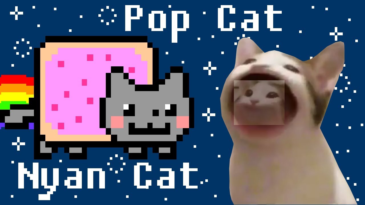 Pop Cat & Nyan Cat (mashup) - YouTube
