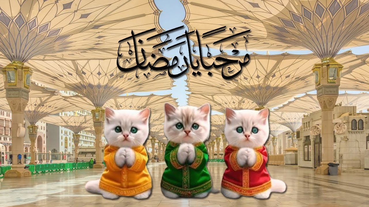 MARHABAN YA RAMADHAN ANIMATED CATS SINGING COLORFUL CATS VERSI HADROH ...