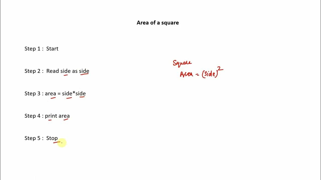algorithm | algorithm to find area of square | algorithm to print area ...
