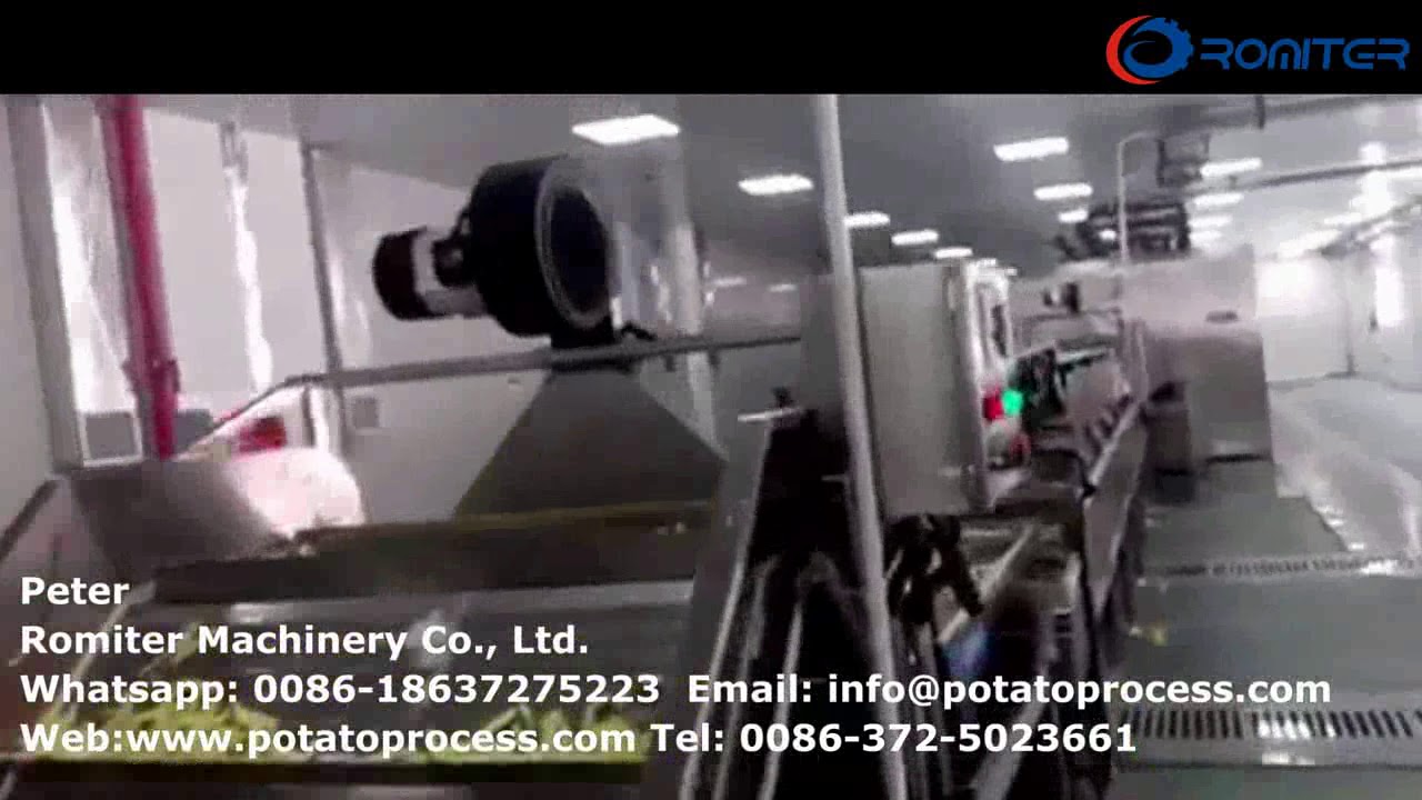 Ligne de production de frites surgelées avec congélateur instantané ...