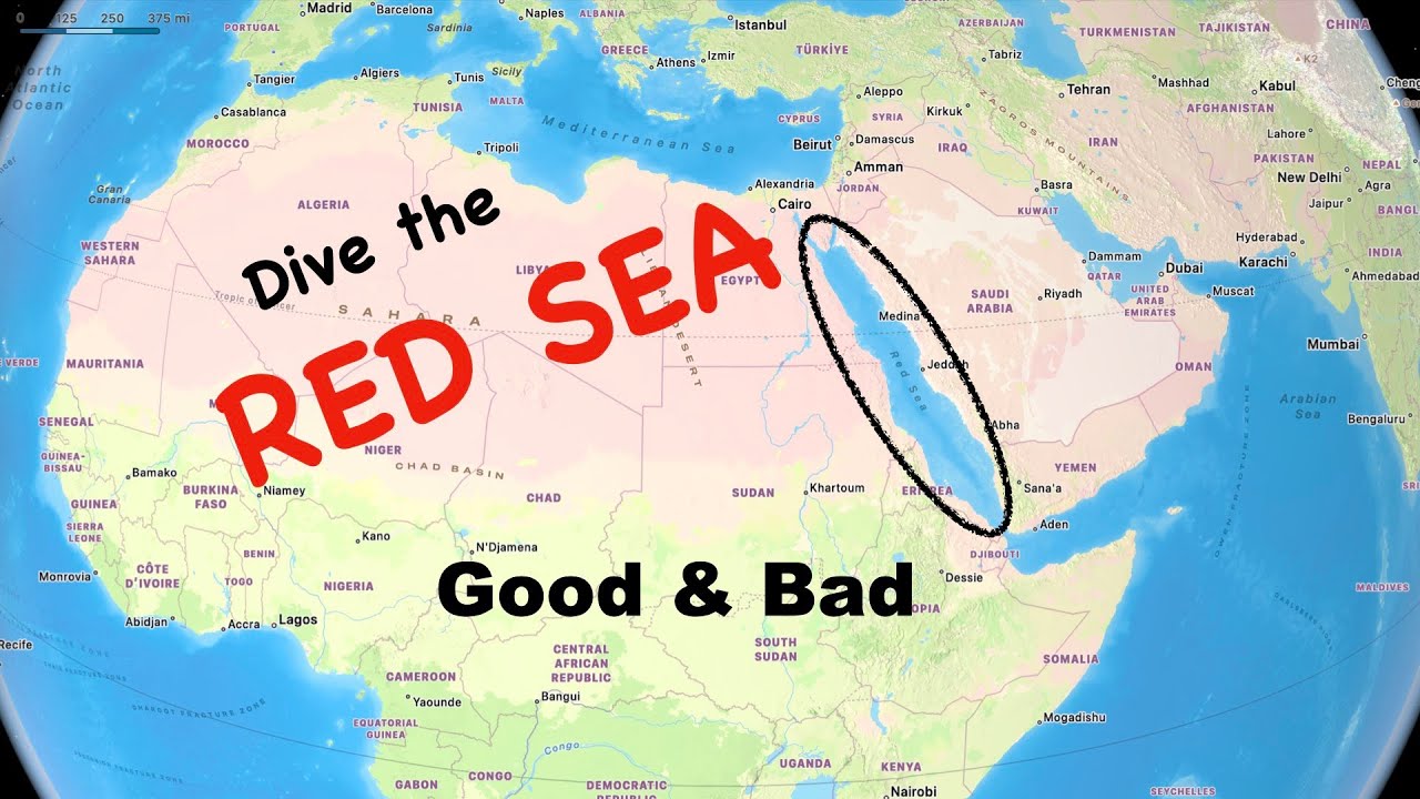 Dive the Red Sea - YouTube
