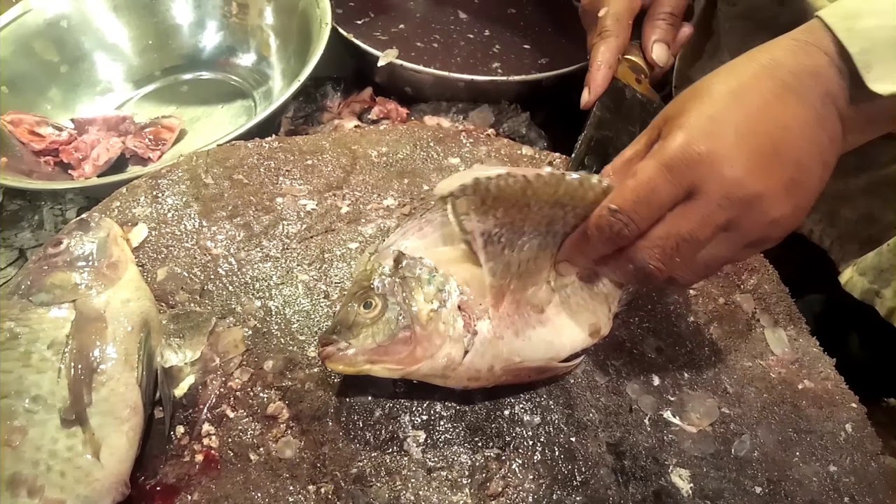 How to Fillet a Tilapia | Tilapia Filla Fish (Urdu\Hindi) - YouTube