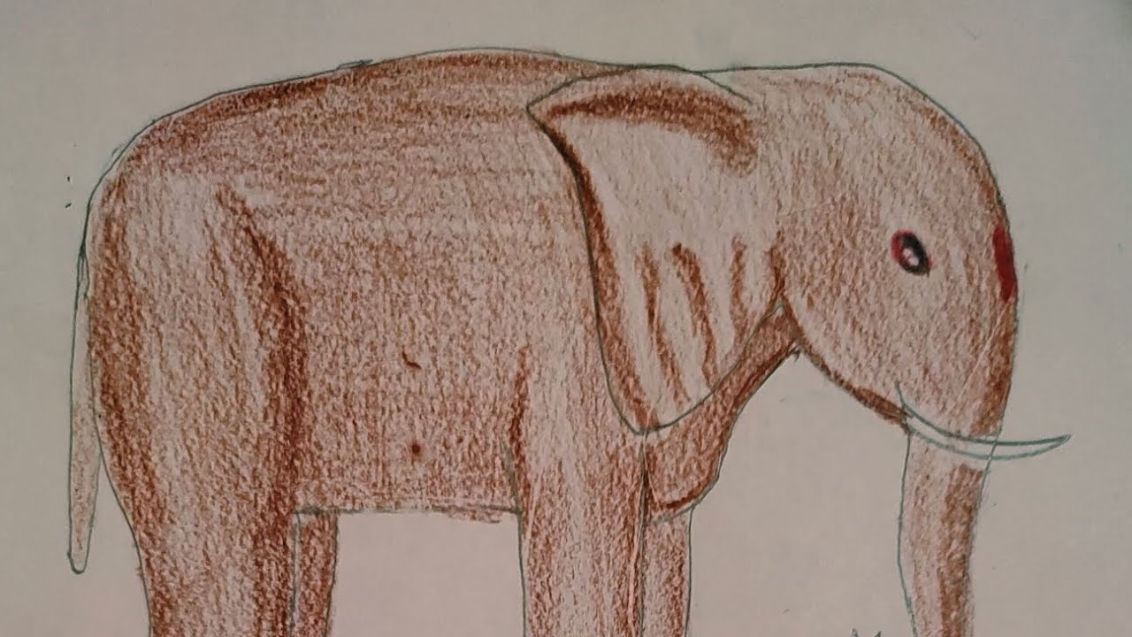 How to fill color in Elephant #art #pancil #arts #artist #drawing - YouTube