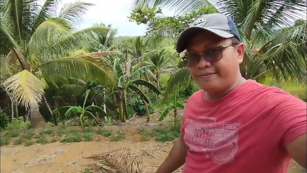 Bisita sa farm - YouTube