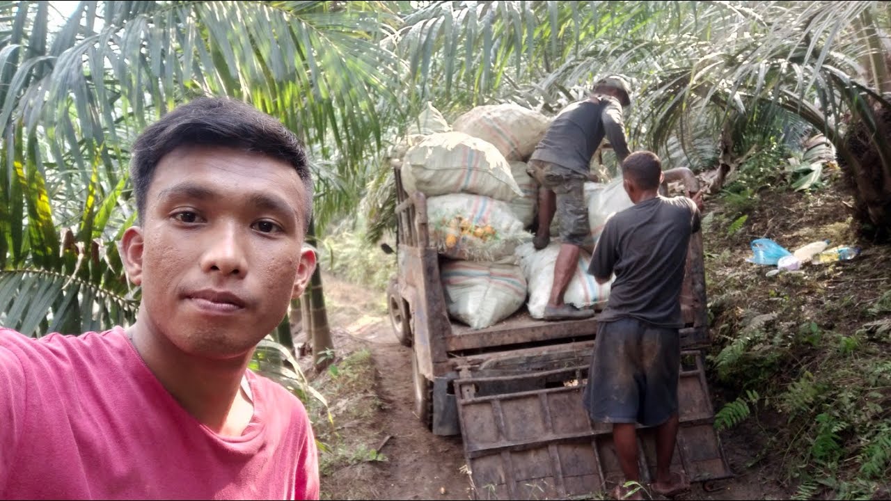 LANGSIR JAGUNG PAKE MOBIL HELEN JALAN RUSAK PARAH - YouTube