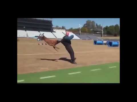 PKKLI ADAMA RKO ÇEKEN ÜLKÜCÜ KURT