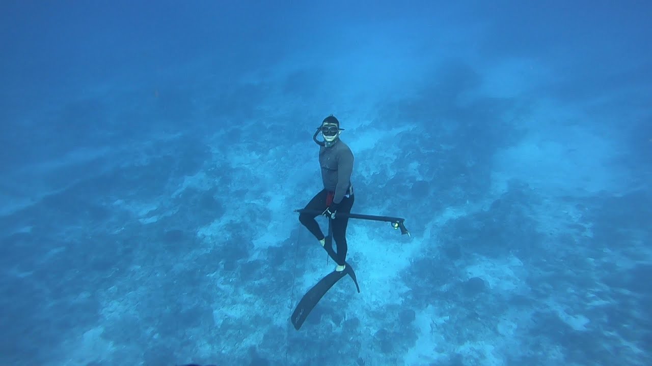 Spearfishing at 90 feet - YouTube