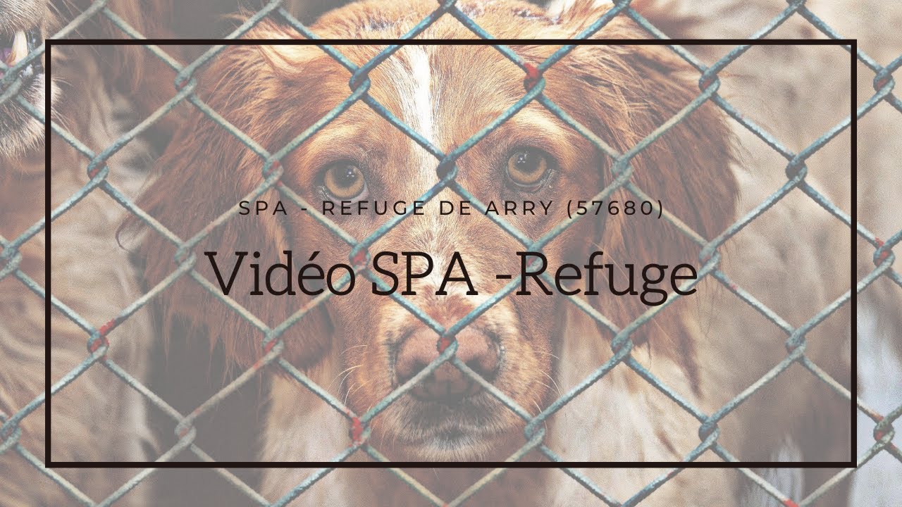 Vidéo - SPA - Refuge de Arry - YouTube