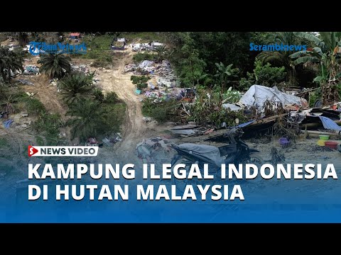 Kampung Ilegal Warga Indonesia di Hutan Malaysia, Langsung Digusur dan Penghuninya Ditahan