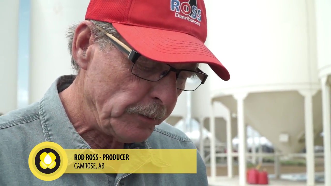 CPTPP and Canadian Canola: Rod Ross Vignette - YouTube