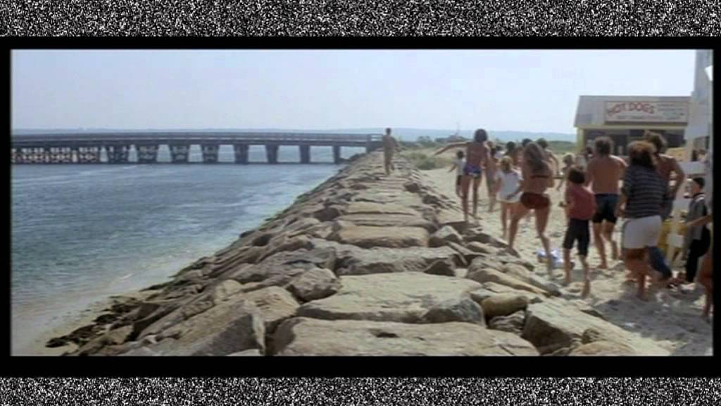 Benton the shark - YouTube