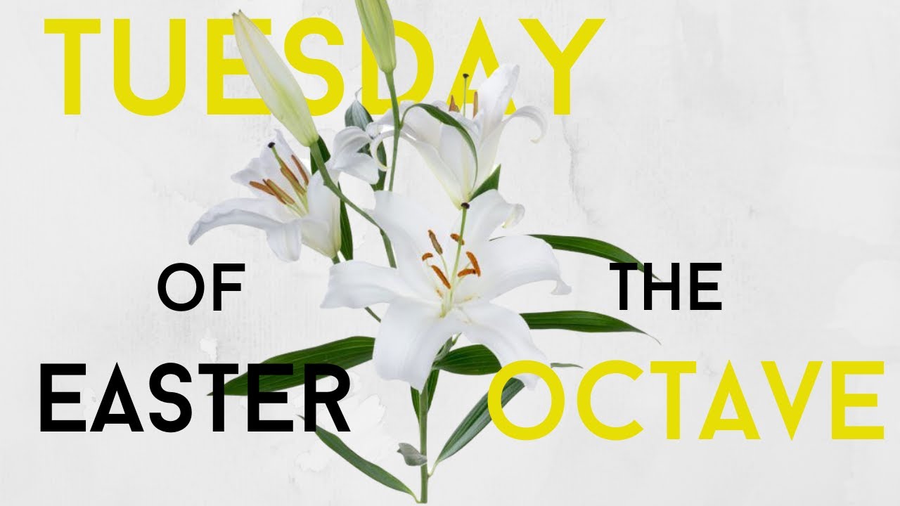 Mass - Tuesday in the Octave of Easter (14 April 2020) - YouTube