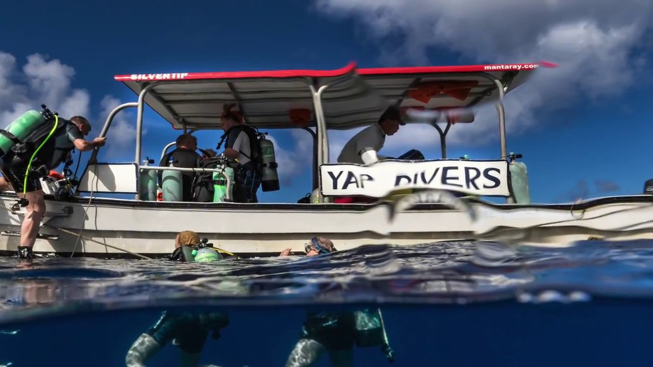 Yap Diving - Micronesia 2018 - YouTube
