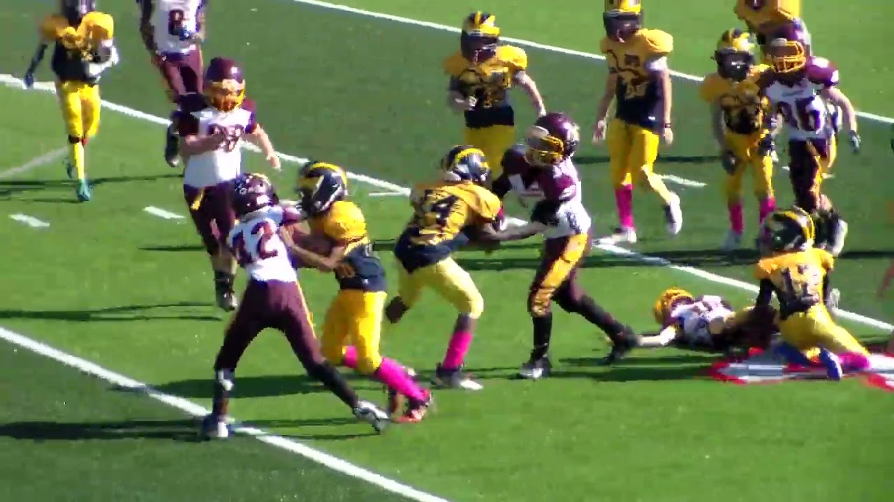 Westland Meteors RB Devon Hampton 12 yard power run vs. Rochester ...