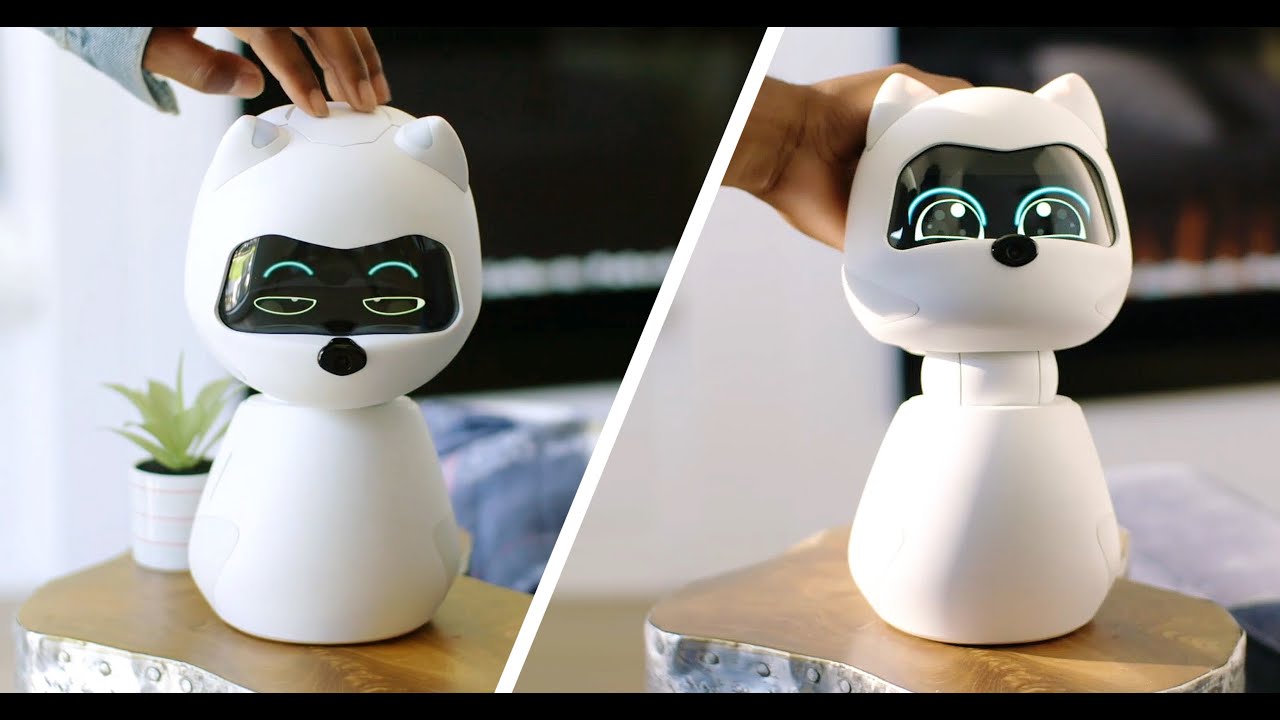 Amazing Robots that actually exist - YouTube