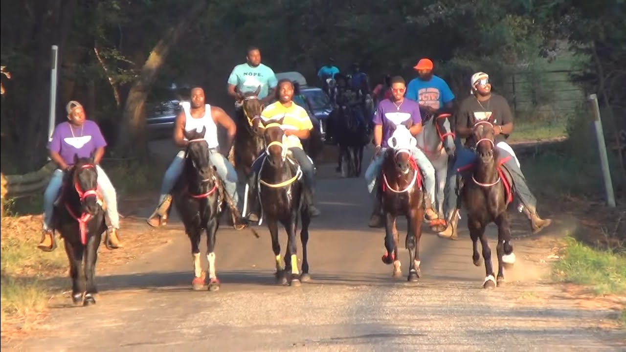 PONY TAIL RIDERS Trail Ride for Saddle Horses - YouTube