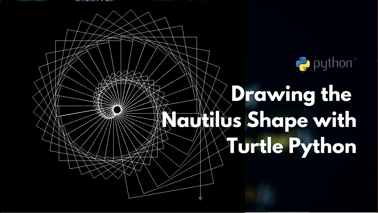 Drawing the Nautilus Shape with Turtle Python - YouTube
