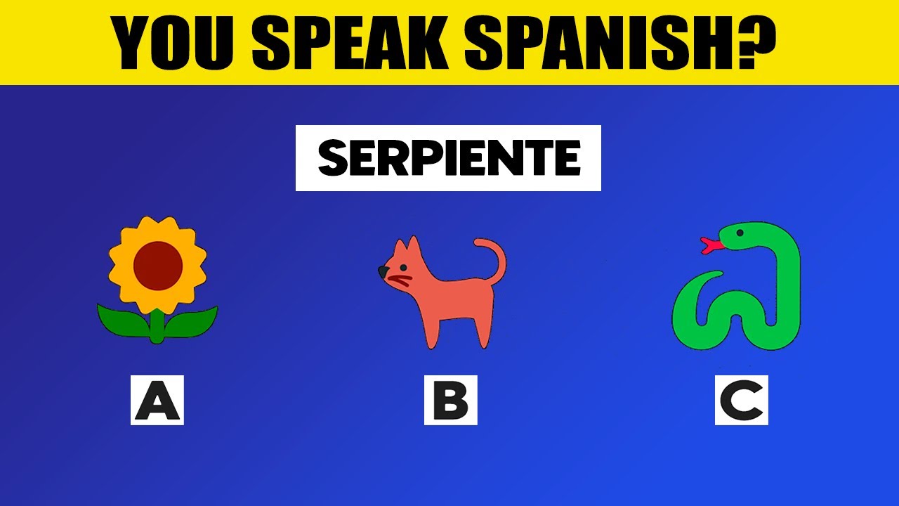 A SPANISH challenge for you! 30 very simple words. How many do you know ...